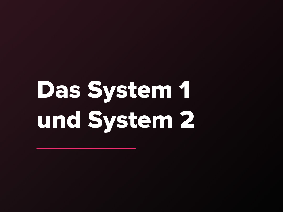 Das System 1 und System 2 | Verkaufspsychologie